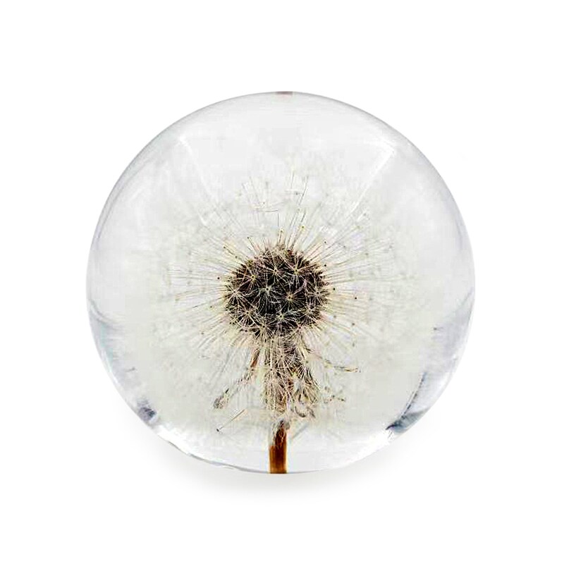 Dandelion in Resin - Etsy