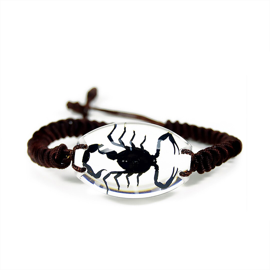 Black Scorpion Bracelet 1.3x0.9x0.5 In - Etsy