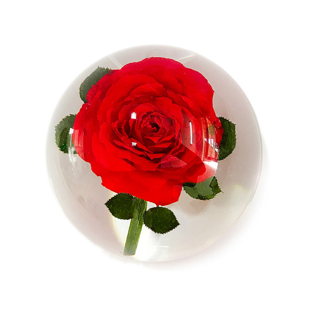 Real Rose Paperweight ɸ2.5x1.3 In - Etsy