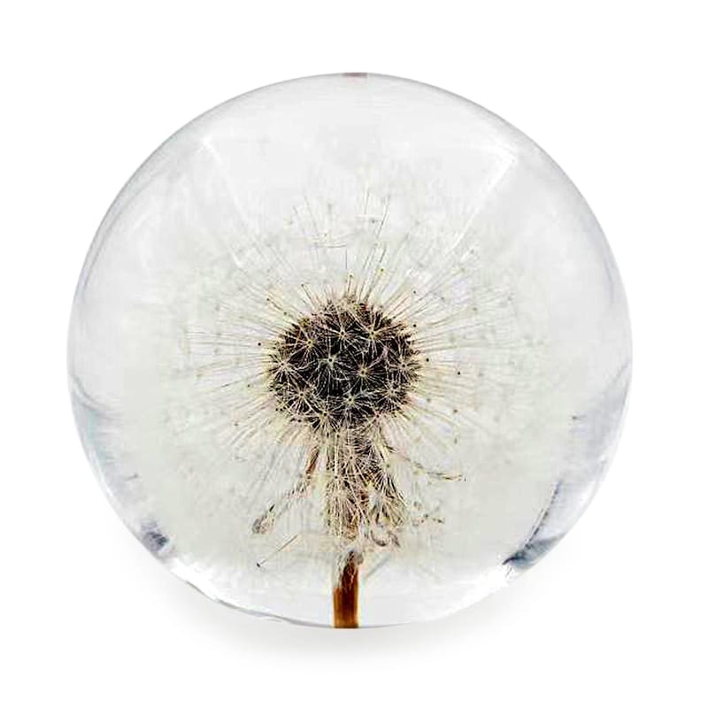 Dandelion in Resin - Etsy