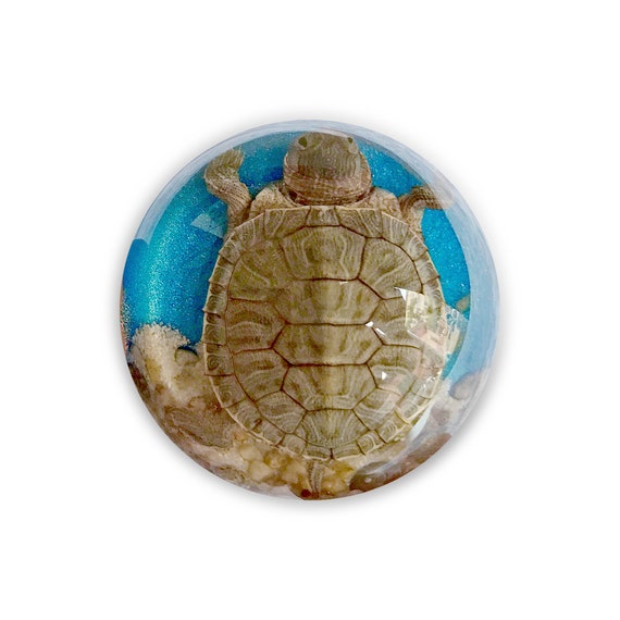 Tortoise Paperweight 2.5X1.3 - Etsy