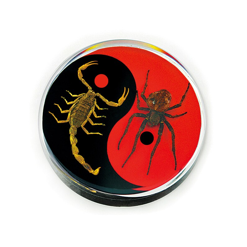 Scorpion Vs Spider Yin Yang Paperweight 3.4x3.4x0.8 In - Etsy