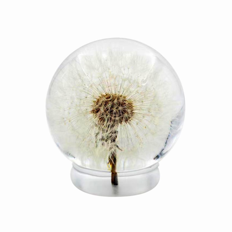 Dandelion in Resin - Etsy