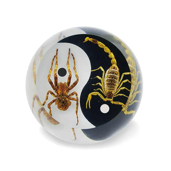 Scorpion Yin Yang Paperweight 2.4x2.4x2.2 in | Etsy