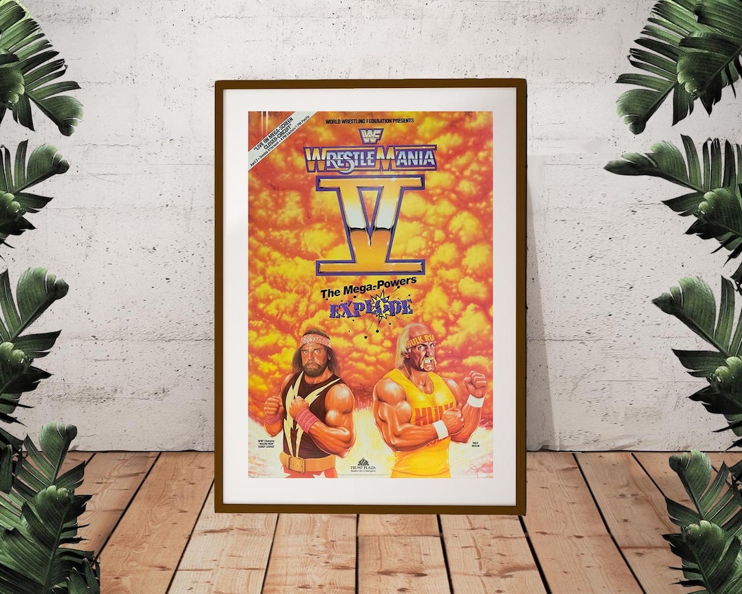 Hulk Hogan Vs Macho Man Poster - Etsy