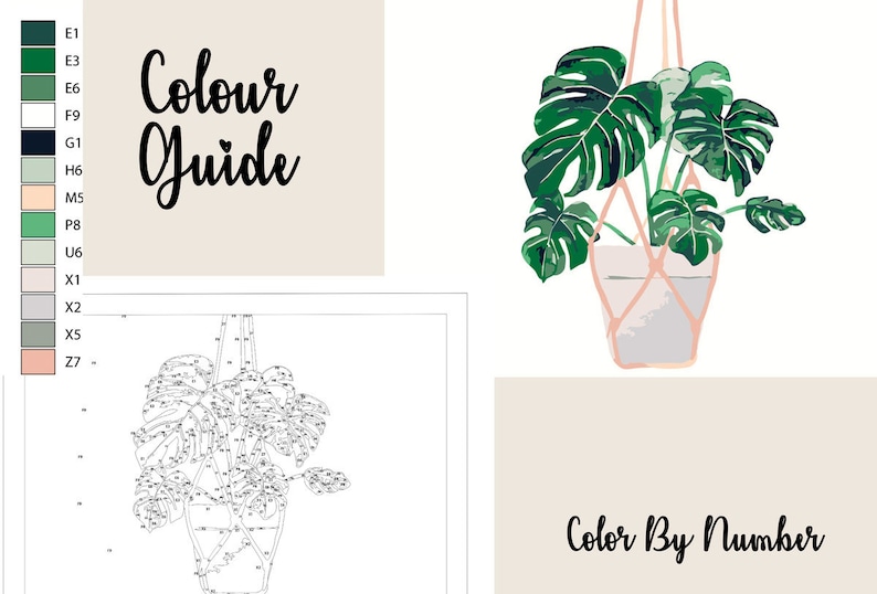 Flower in a Pot Floral Color by Number Kit Printable Flower - Etsy