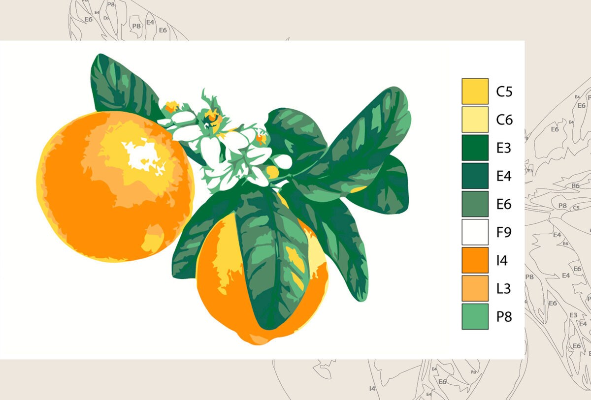 Orange Blossom Painting by Numbers Orange Coloring Page Printable ...