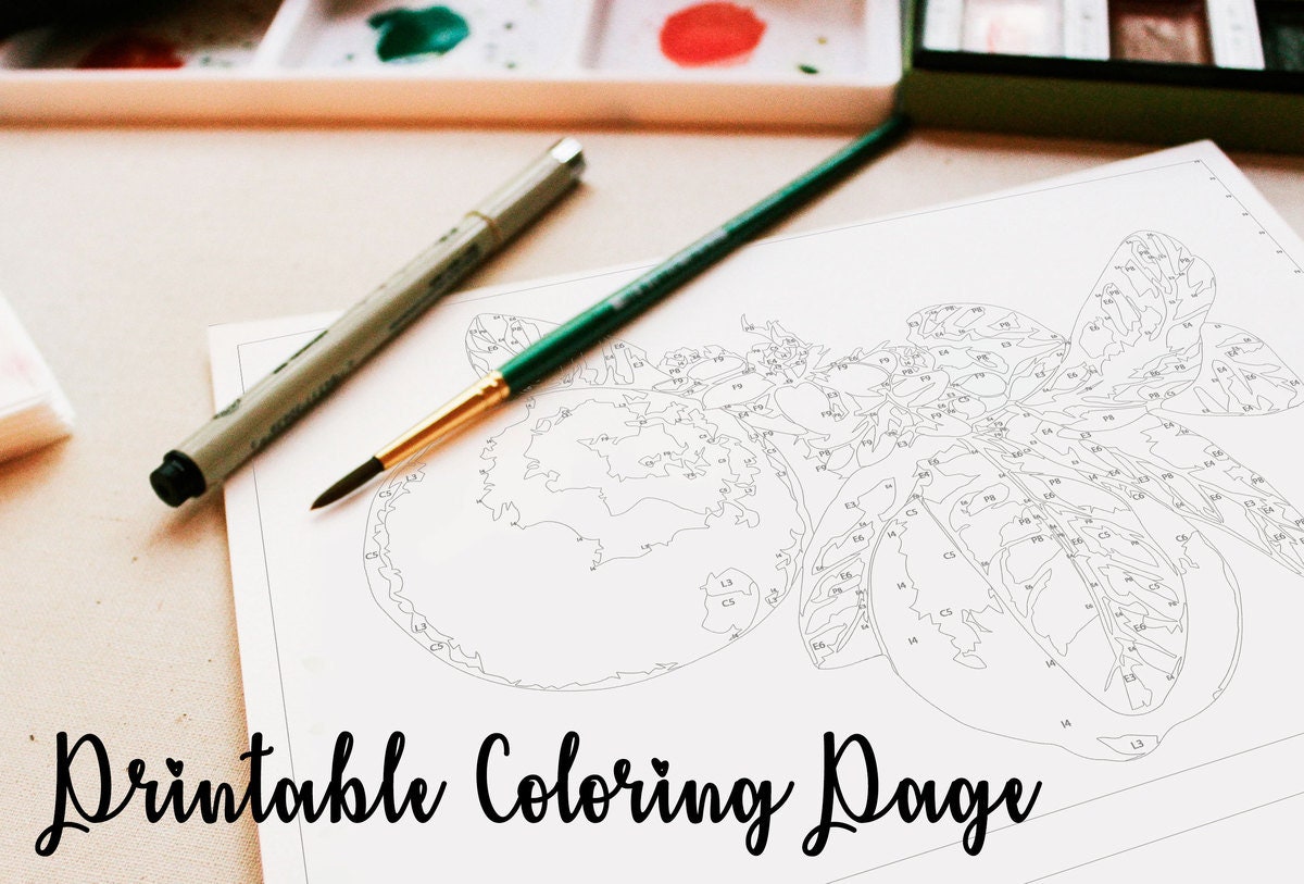 Orange Blossom Painting by Numbers Orange Coloring Page | Etsy