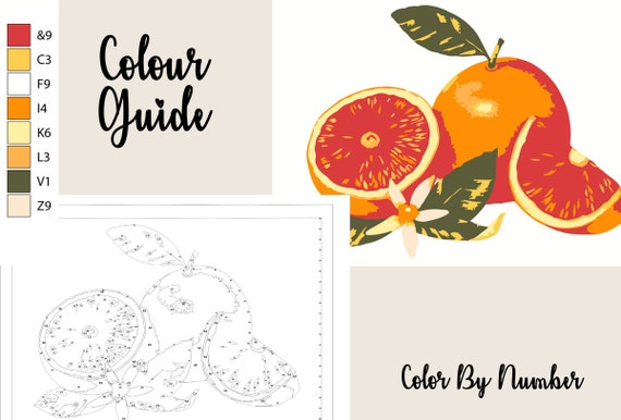 Grapefruit Color by Number Kit Printable Exotic Fruits Color - Etsy
