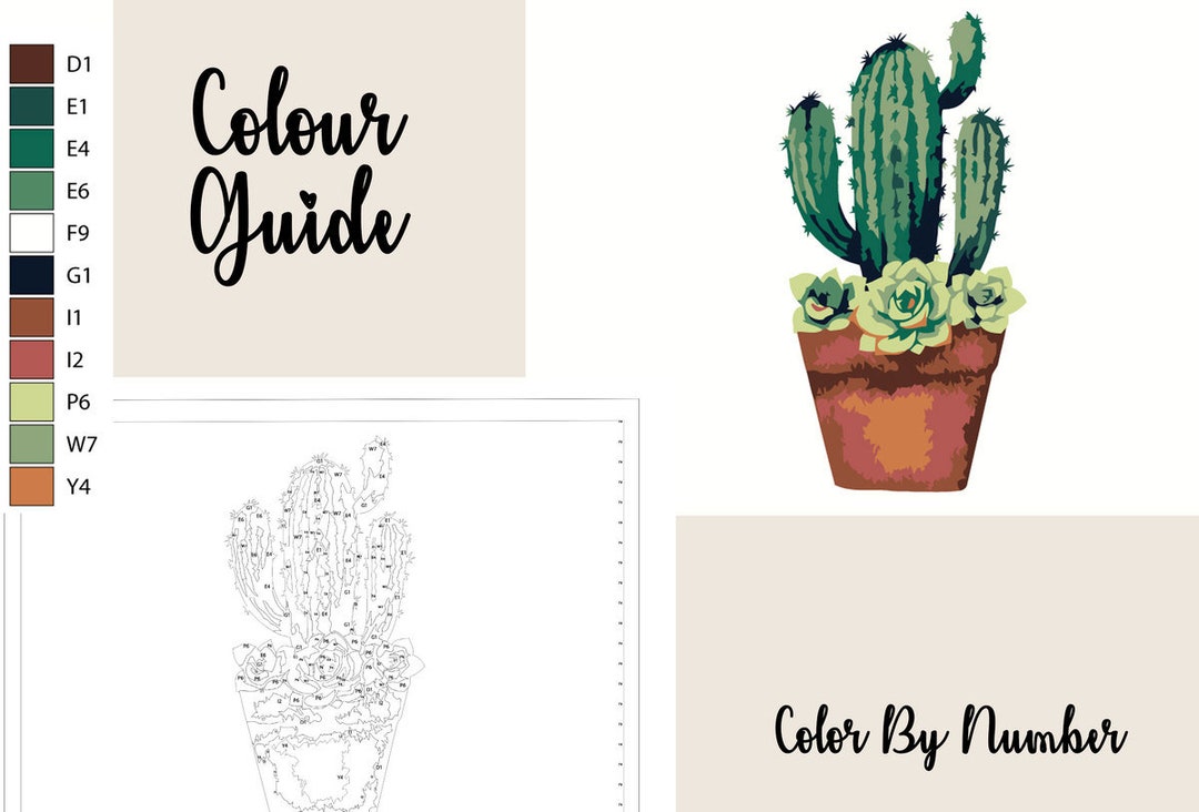 Cactus Succulent Floral Color by Number Kit Printable Flower Color by ...