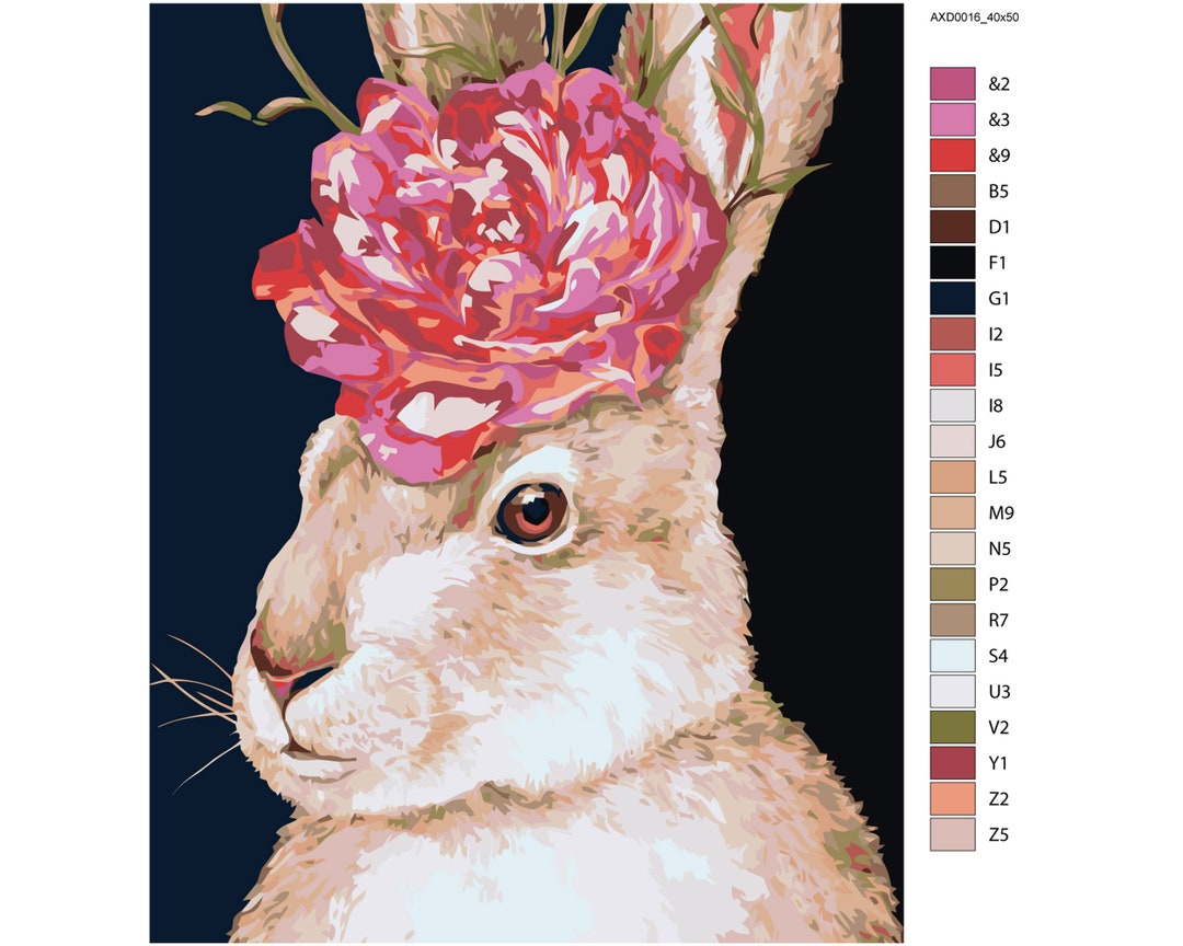 Cute Bunny Paint by Numbers DIY Kit Rabbit Painting by Number Art Paint ...