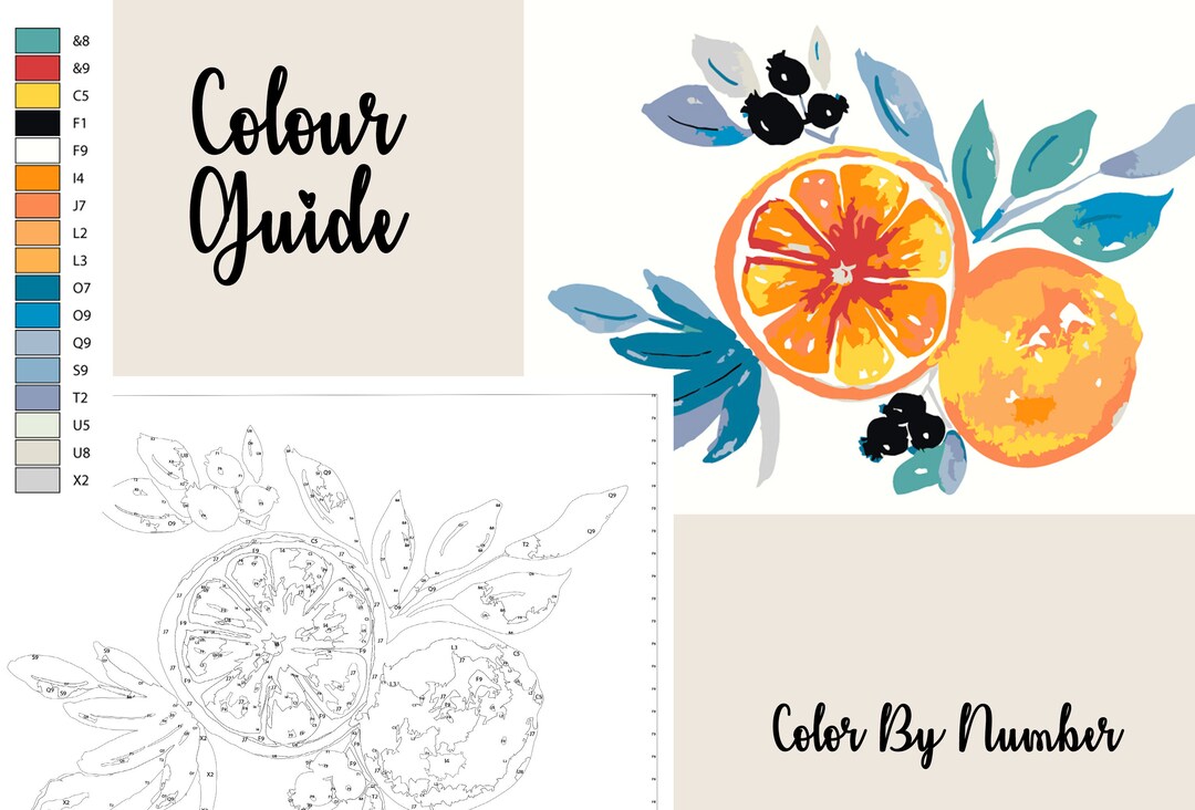 Orange Art Color by Number Kit Printable Tangerine Color by Number ...