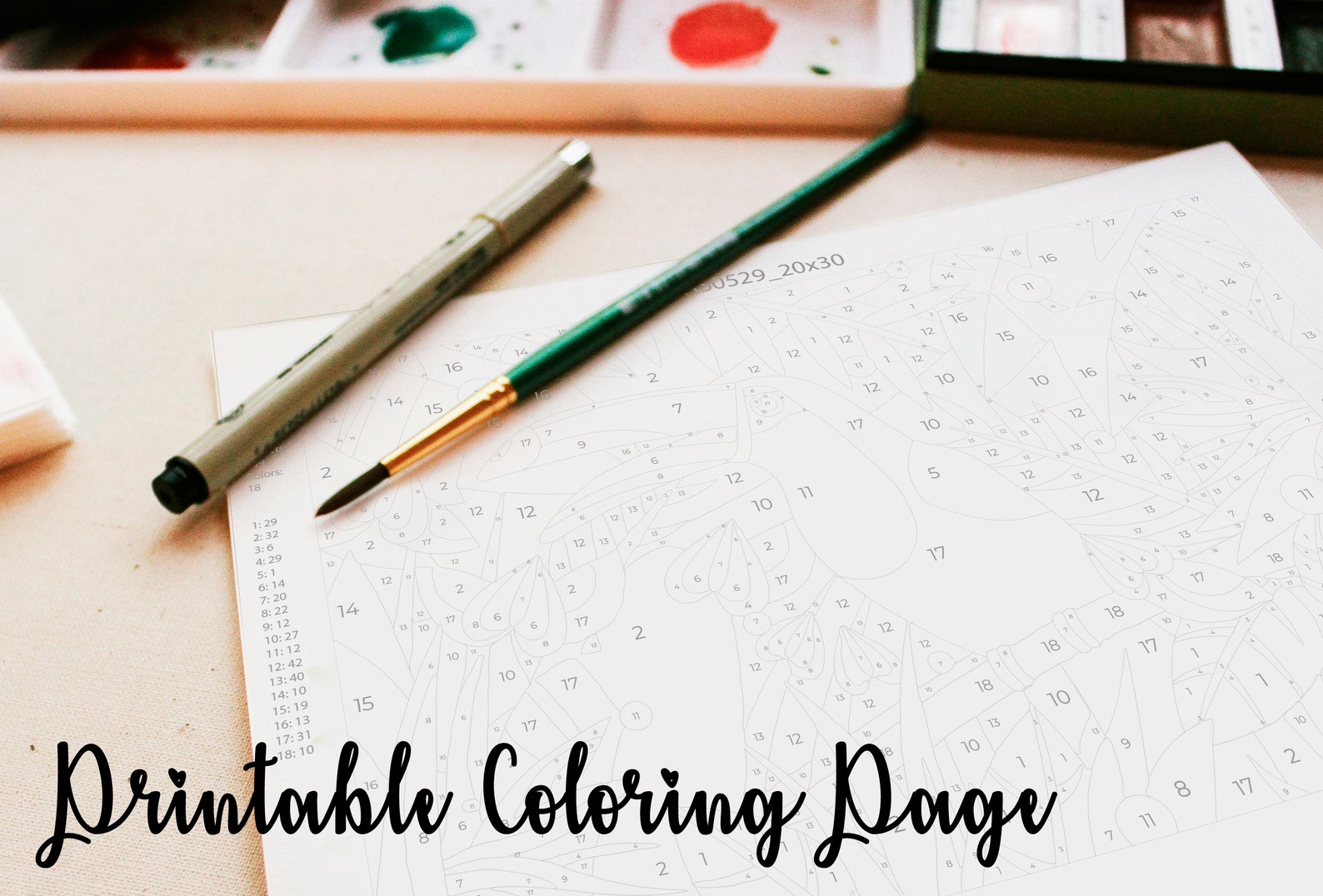 Toucan Painting by Numbers Color by Numbers Kit Tropical Forest ...