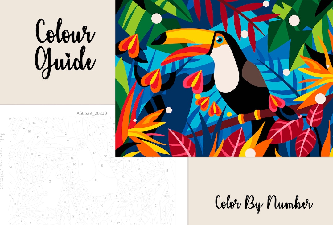 Toucan Painting by Numbers Color by Numbers Kit Tropical Forest ...