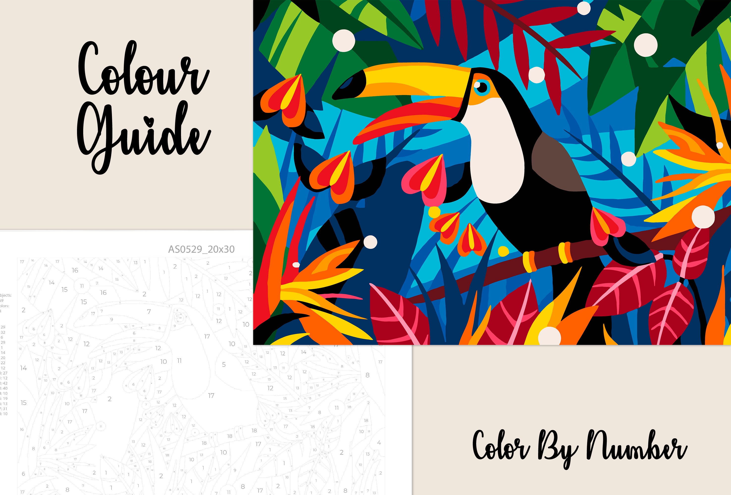Toucan Painting by Numbers Color by Numbers Kit Tropical Forest ...