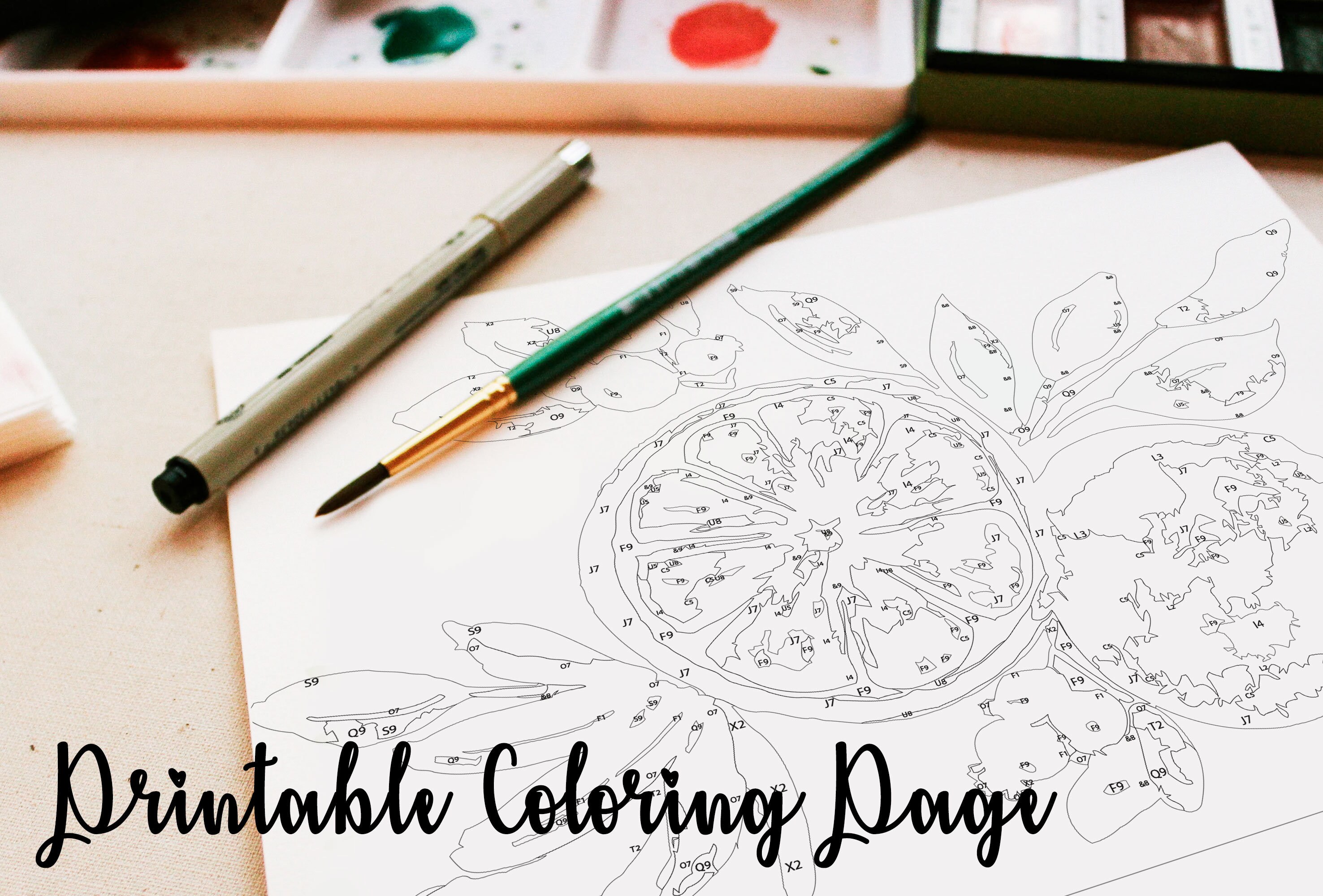 Orange Art Color by Number Kit Printable Tangerine Color by | Etsy