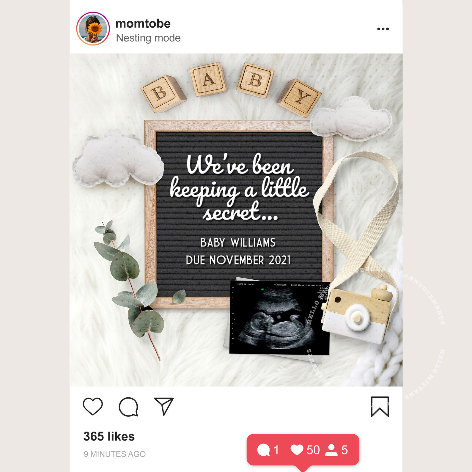 Gender Neutral Digital Pregnancy Announcement Baby Reveal - Etsy