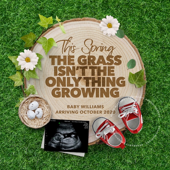 Pregnancy Announcement Digital, SPRING Baby Personalized Reveal for ...