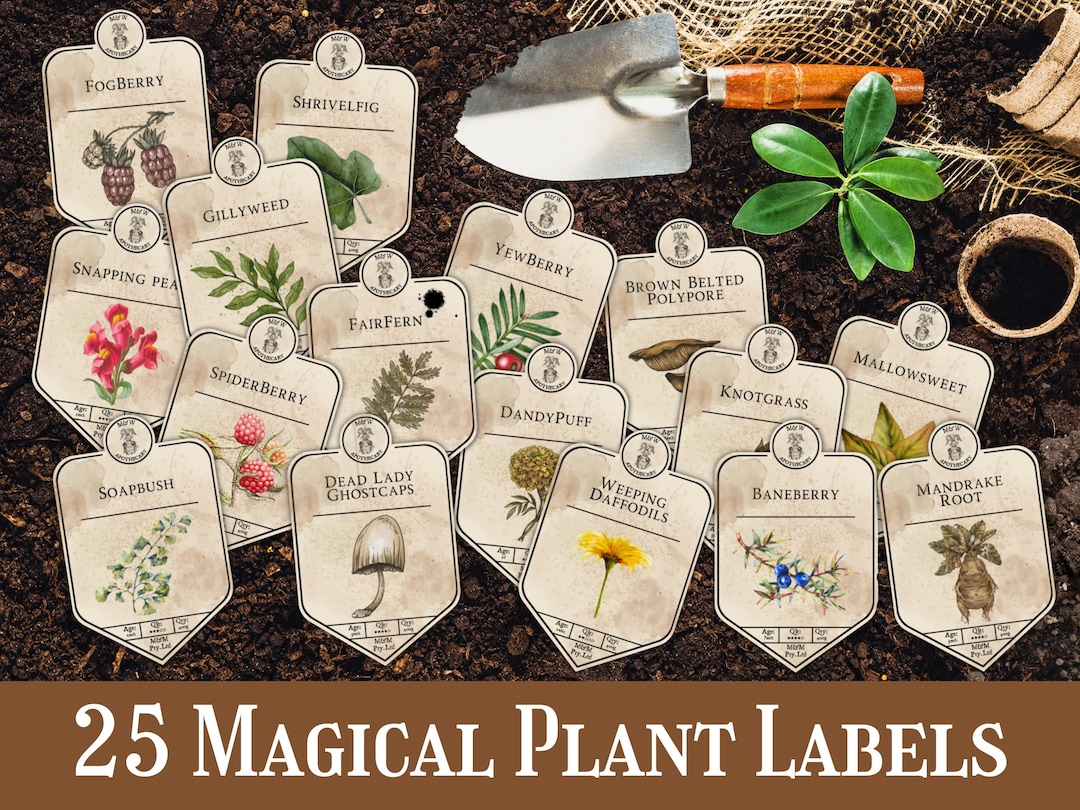 Magical Plant Labels - Etsy