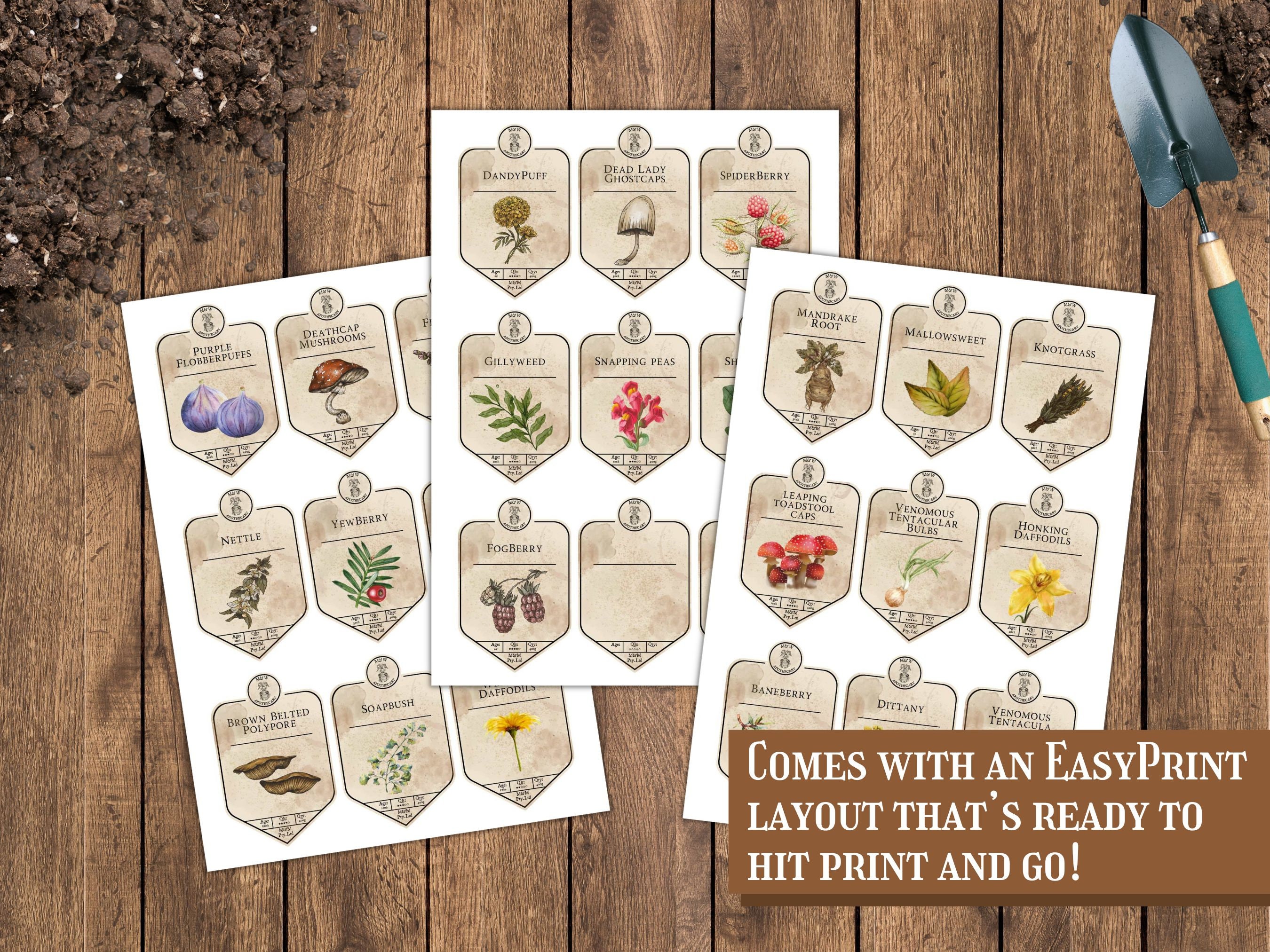 Magical Plant Labels - Etsy