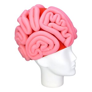 Foam Party Hats Brain Hat - Anatomy Party Hat - Doctor Party Hat ...