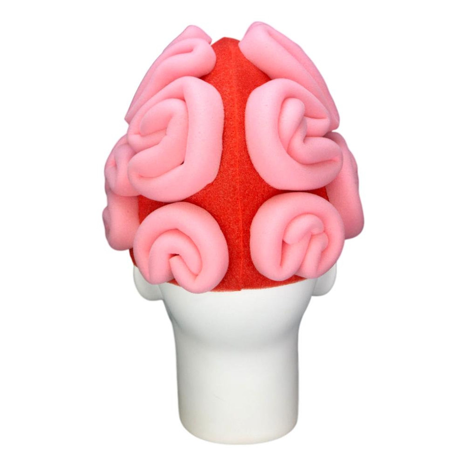 Foam Party Hats Brain Hat - Anatomy Party Hat - Doctor Party Hat ...
