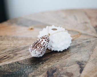 Cone Shell Necklace - Etsy