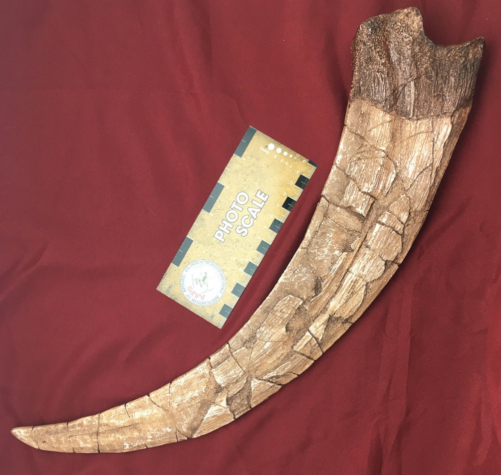 Therizinosaurus Claw Replica - Etsy