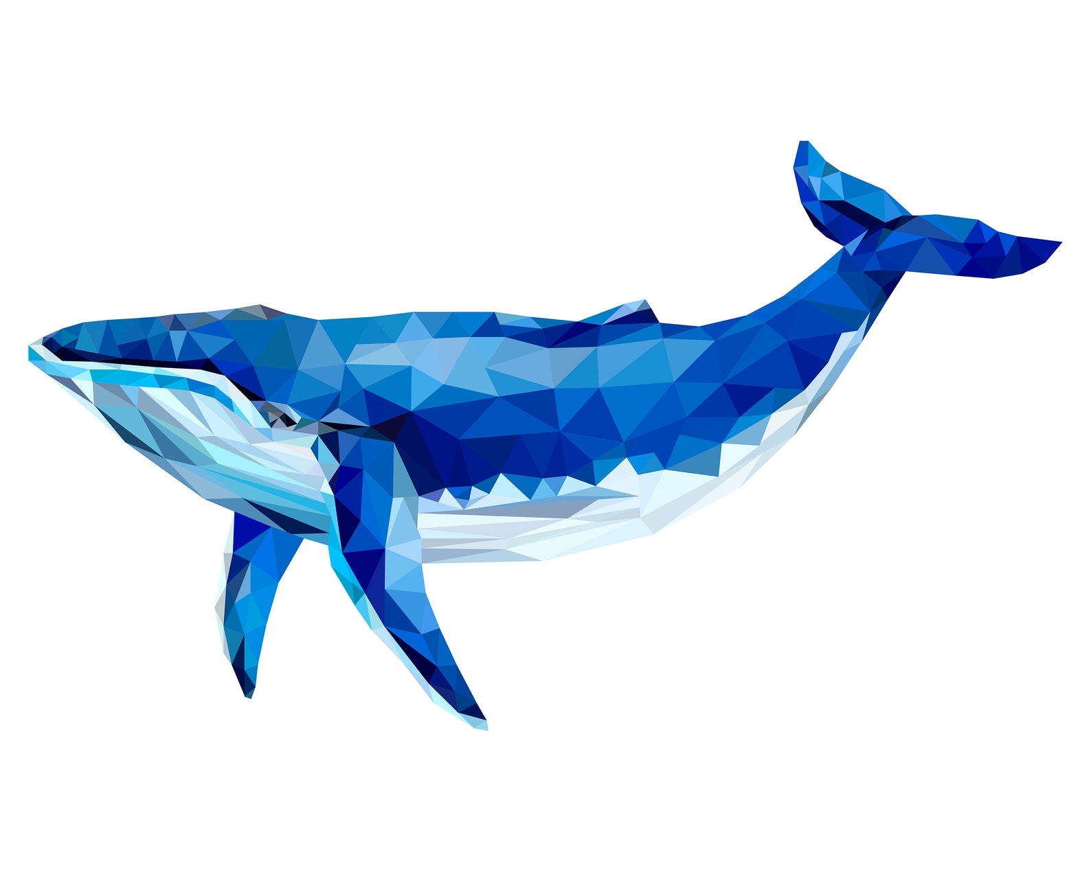 Blue Whale Ocean Gift Creatures Sea Life Art Print - Etsy