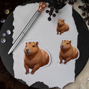 Sticker Capybara Cara - Etsy