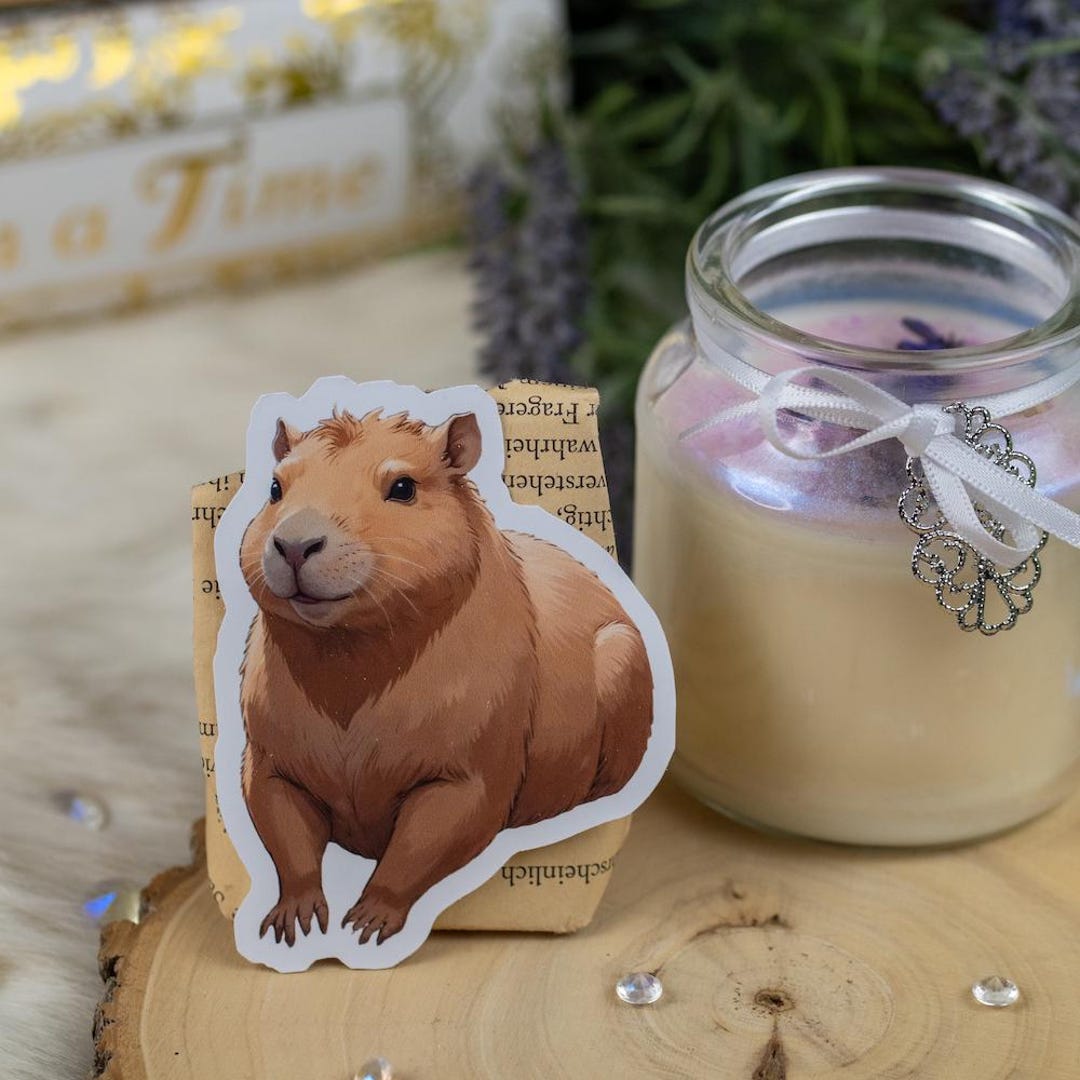Sticker Capybara Cara - Etsy