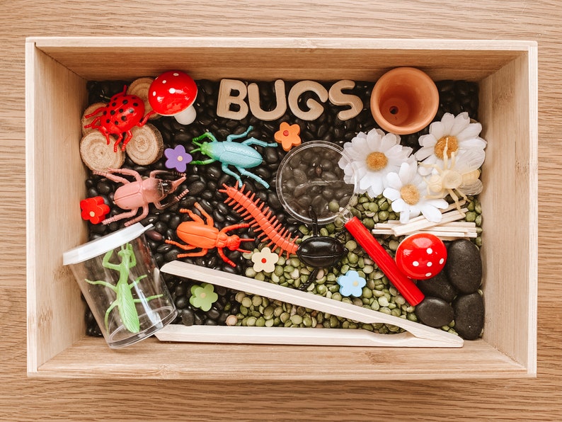 Bug hunt insects nature spring sensory tray box bin kit | Etsy