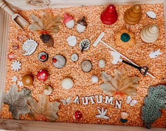 Autumn Sensory Tray - Etsy