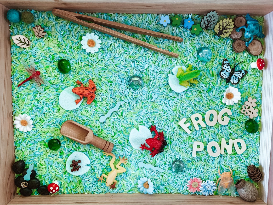 Frog pond sensory bin tray kit with coloured rice | Etsy