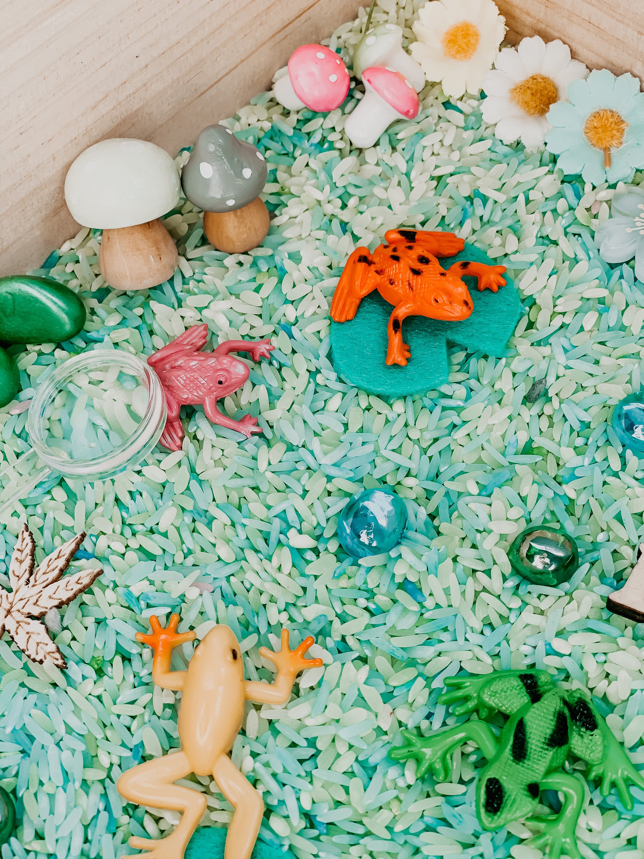 Frog Pond Sensory Bin Tray Kit With Coloured Rice - Etsy