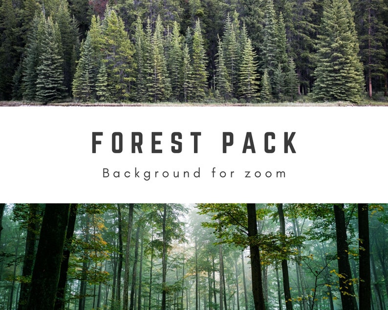 SALE Forest Zoom Background Pack - Digital Wallpaper Background, Nature ...
