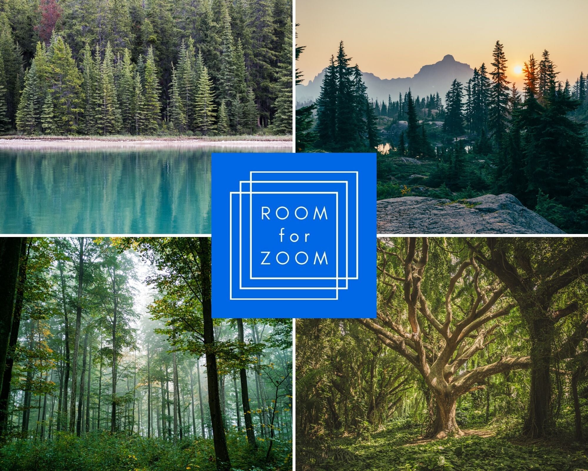 SALE Forest Zoom Background Pack - Digital Wallpaper Background, Nature ...