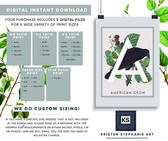 Digital Prints Vintage Bird Prints Audubon Birds Print Collage ...