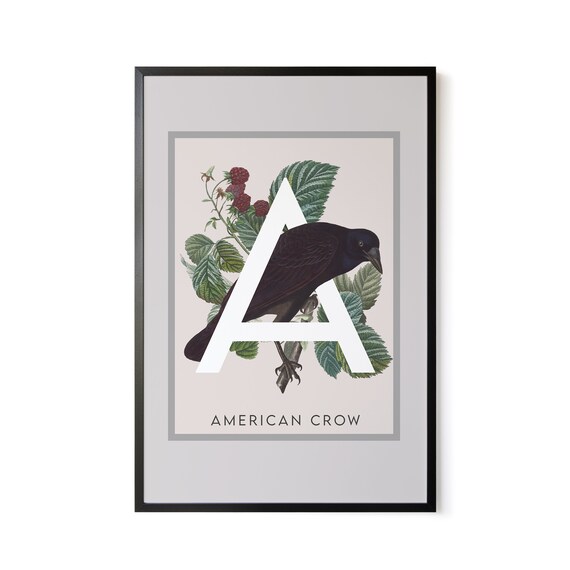 Digital Prints Vintage Bird Prints Audubon Birds Print Collage ...