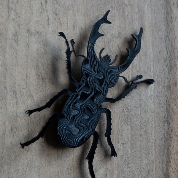 Insect Brooch - Etsy