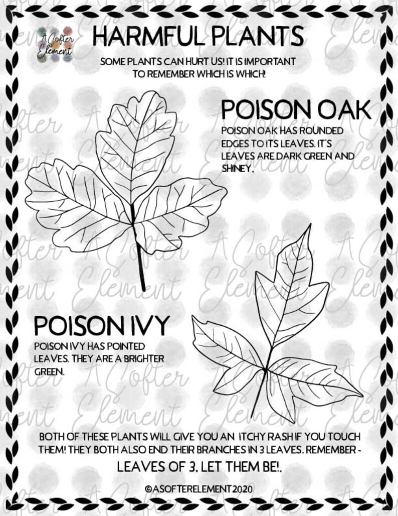 NATURE COLORING PAGES - Harmful Plants (poison Oak & Poison Ivy ...