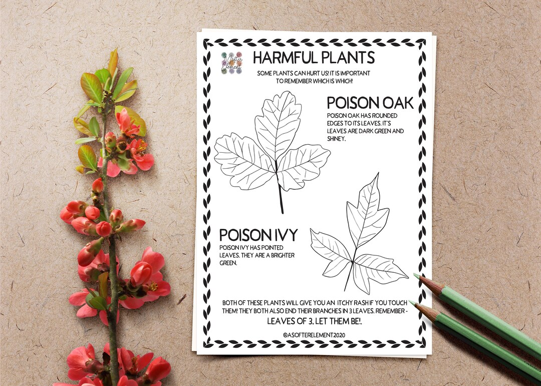 NATURE COLORING PAGES - Harmful Plants (poison Oak & Poison Ivy ...