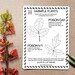 NATURE COLORING PAGES Harmful Plants poison Oak & Poison Ivy Plant ...