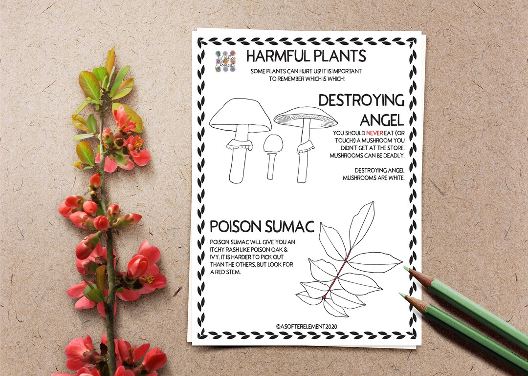 NATURE COLORING PAGES - Harmful Plants (destroying Angel & Poison Sumac ...