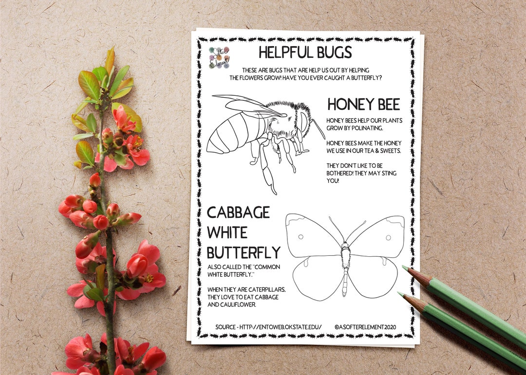 NATURE COLORING PAGES - Helpful Bugs (honey Bee & Common Butterfly ...