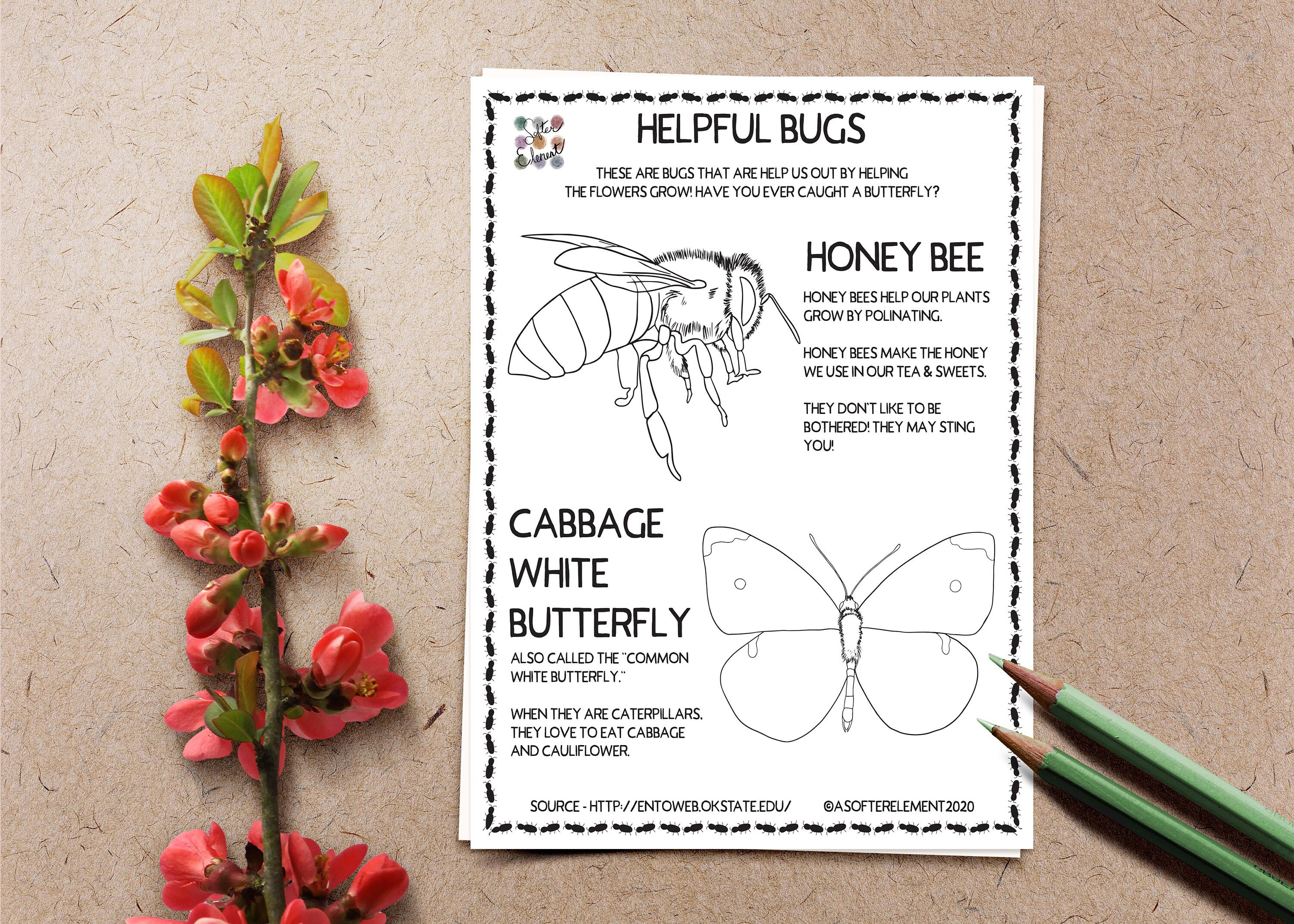 NATURE COLORING PAGES - Helpful Bugs (honey Bee & Common Butterfly ...