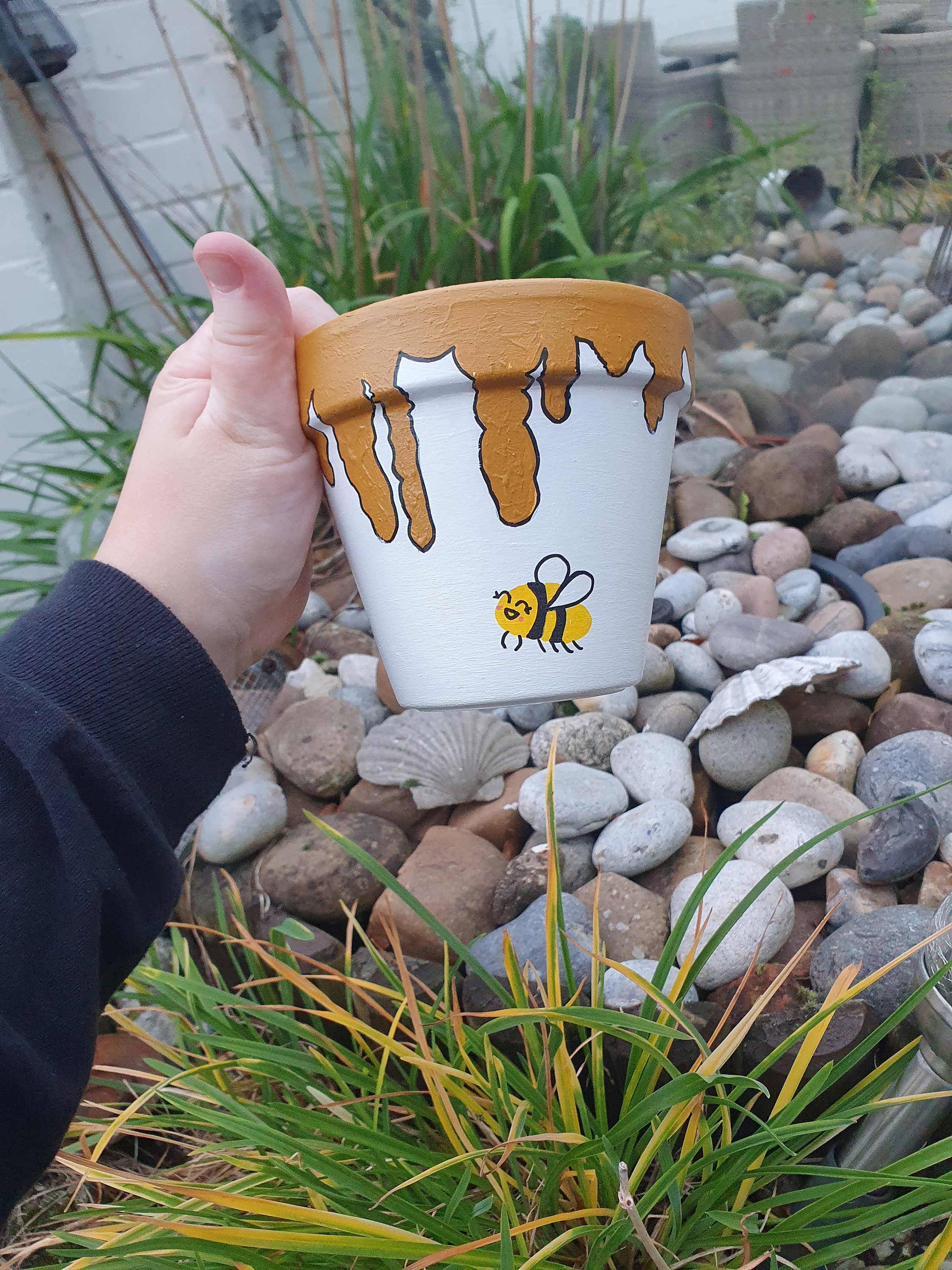 Hand Painted Bumble Bee Terracotta Plant Pot Indoor Plant Pot Plant Pot ...