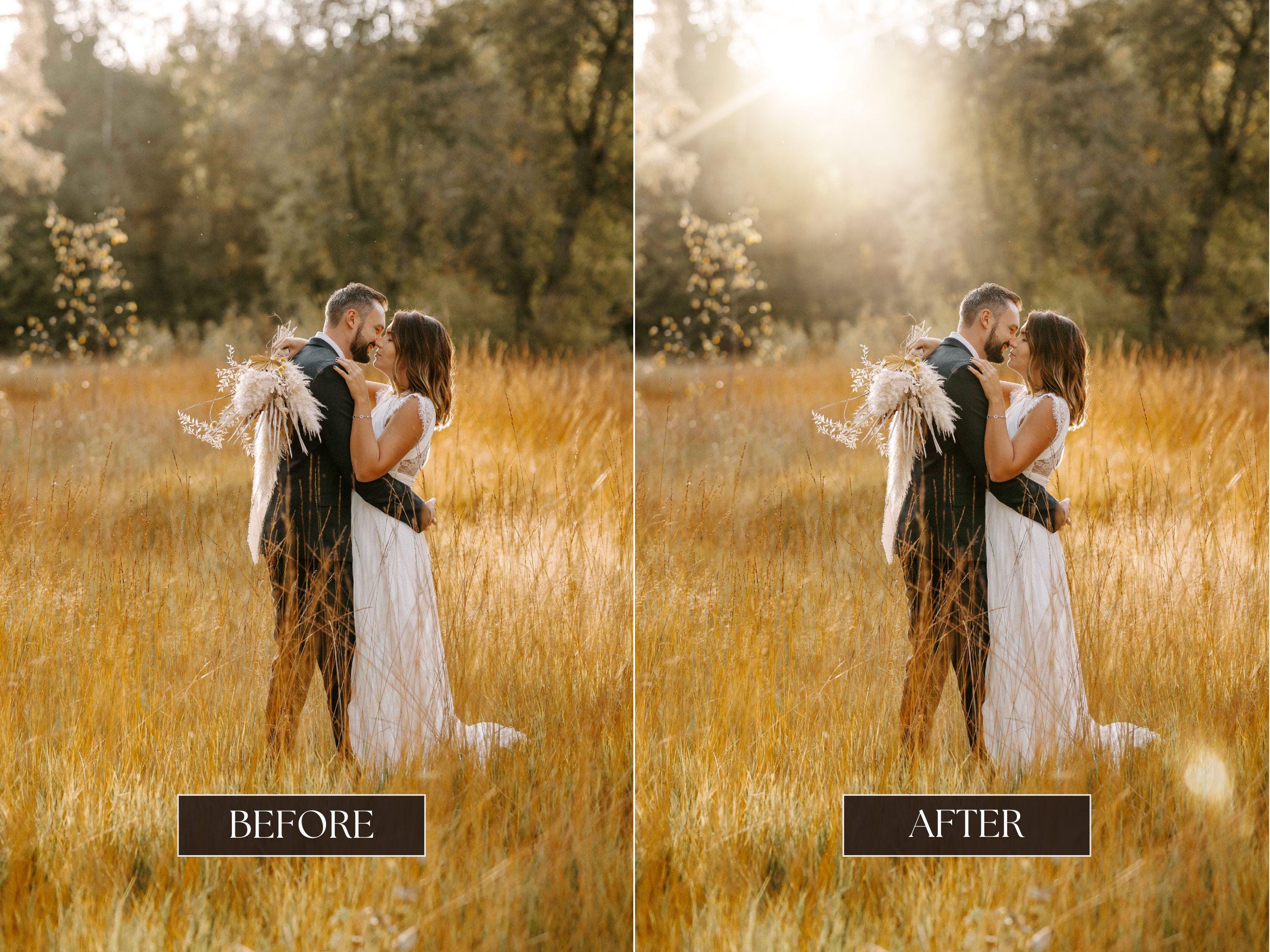 Sunlight & Flares Overlay Set : 56 Natural Photoshop Overlays for ...