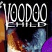 VOODOO CHILD : the Illustrated Legend of Jimi Hendrix Hardcover – With ...