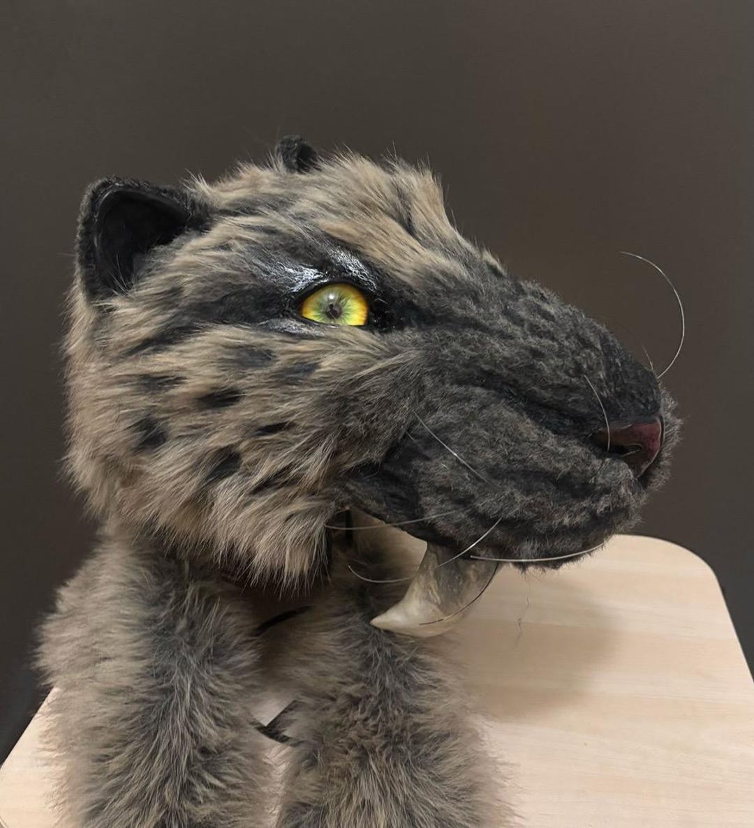 Saber Tooth Tiger Headdress Fursuit - Etsy